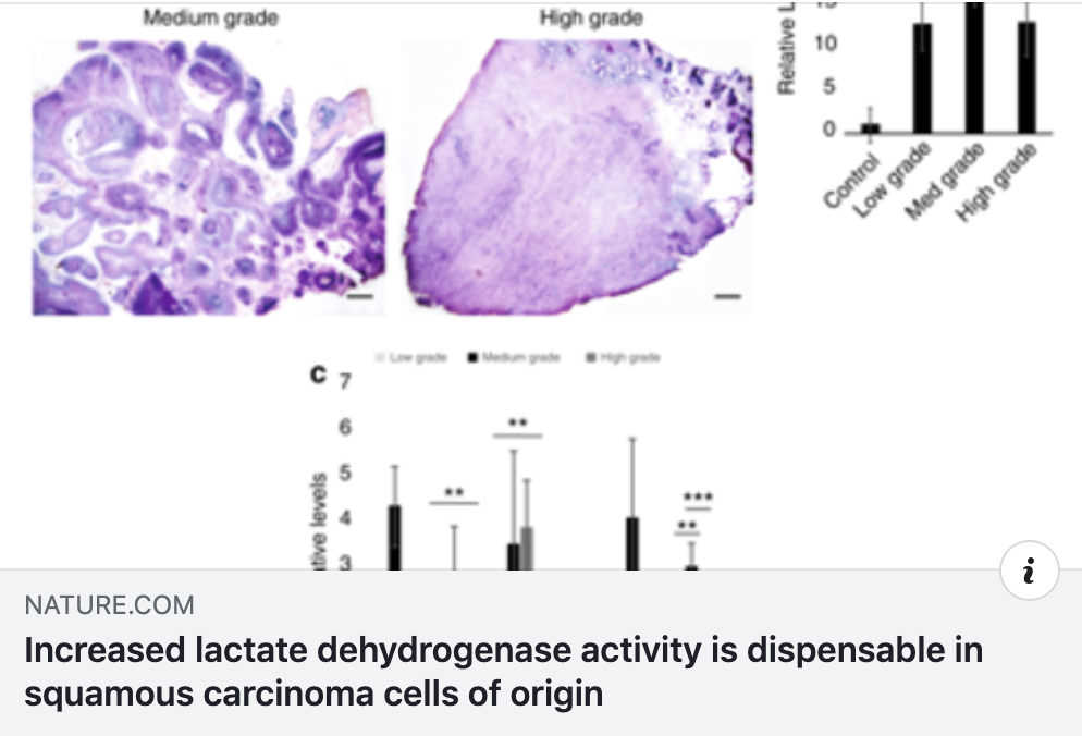 Screen Shot 2019-07-12 at 3.05.10 PM – UCLA-HHMI Pathways to Success ...